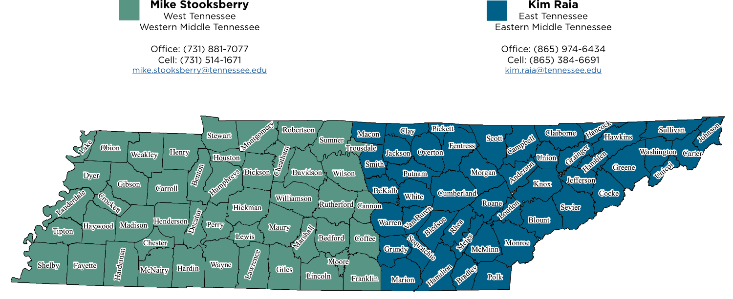 Service Area Maps | UT County Technical Assistance Service